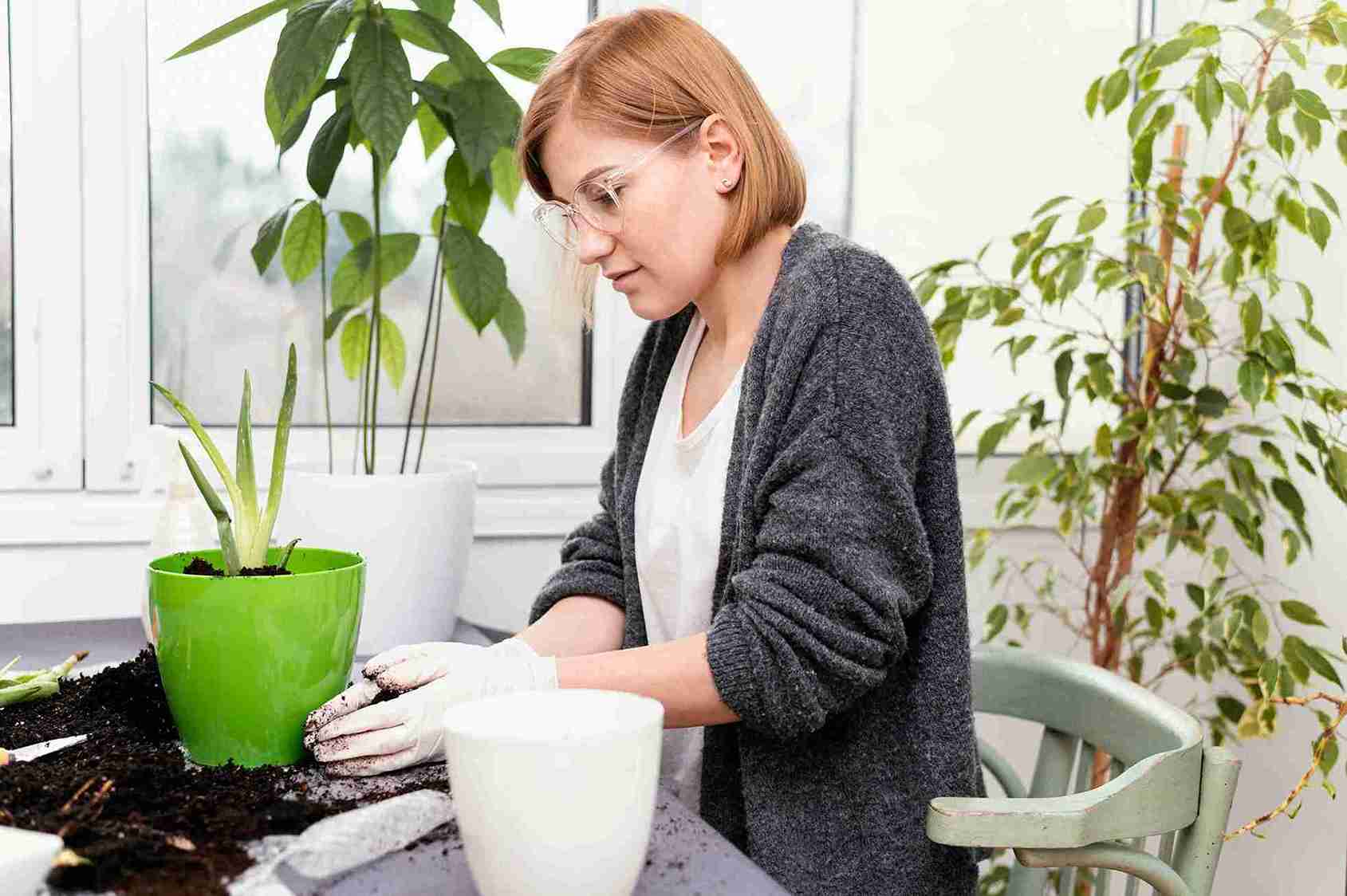 5 Powerful Signs Your Plant Needs Repotting Now